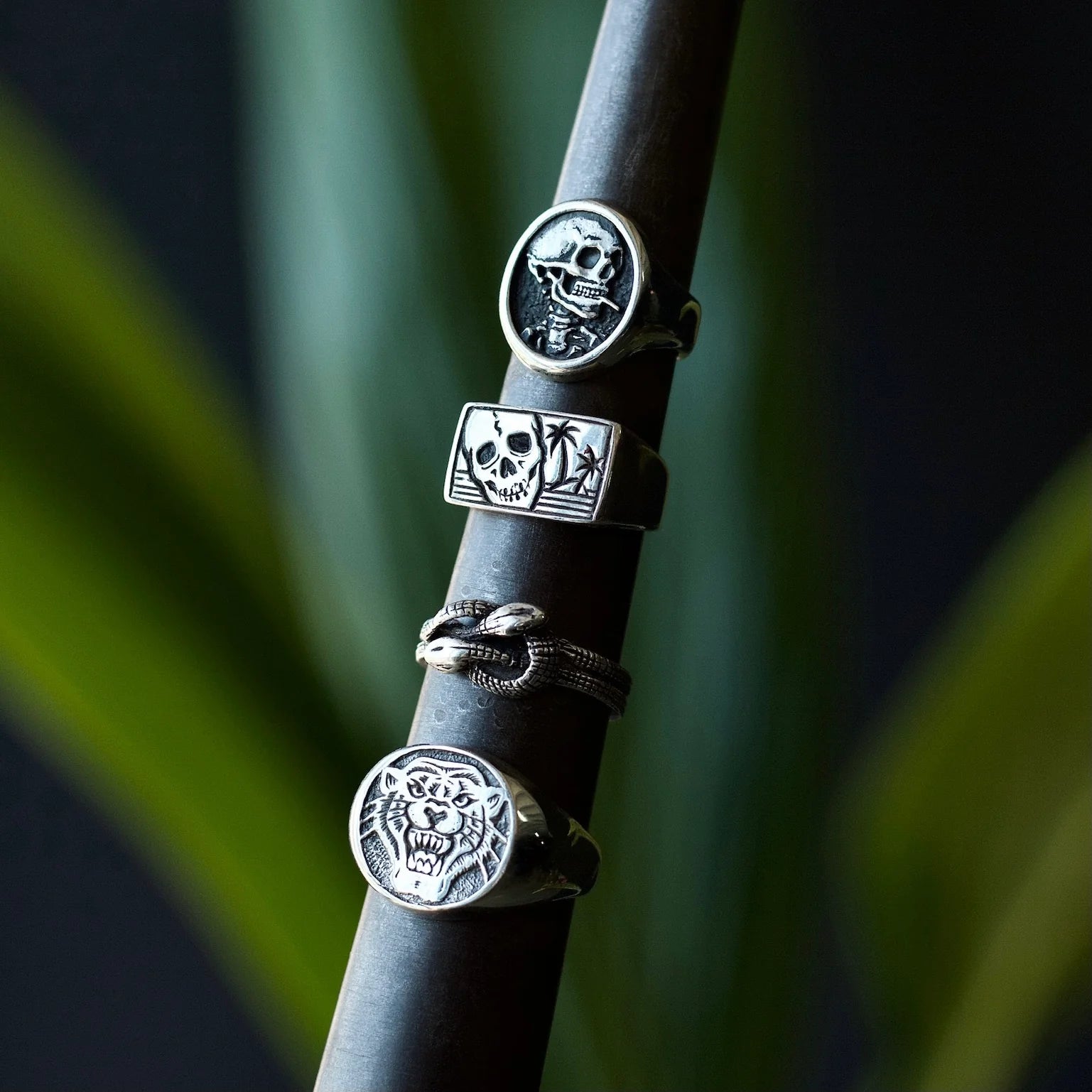 RINGS – Dirty Paradise